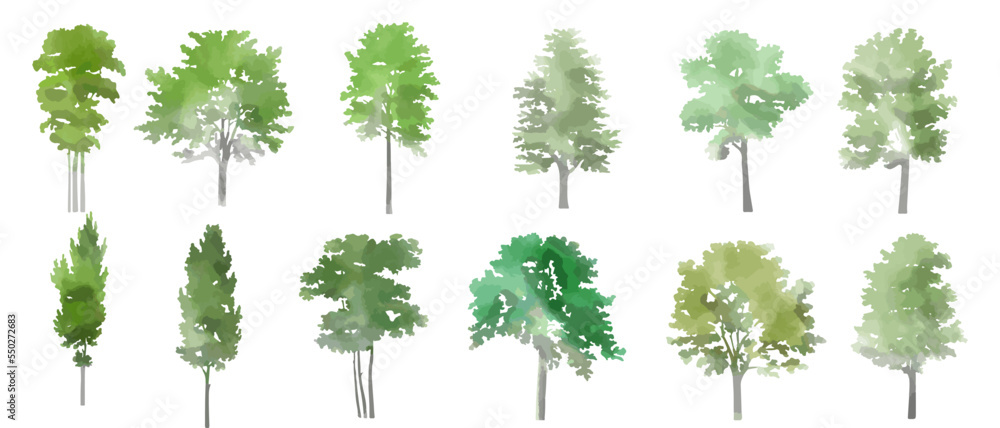 Vector illustration of an architectural tree for landscape design in a ...