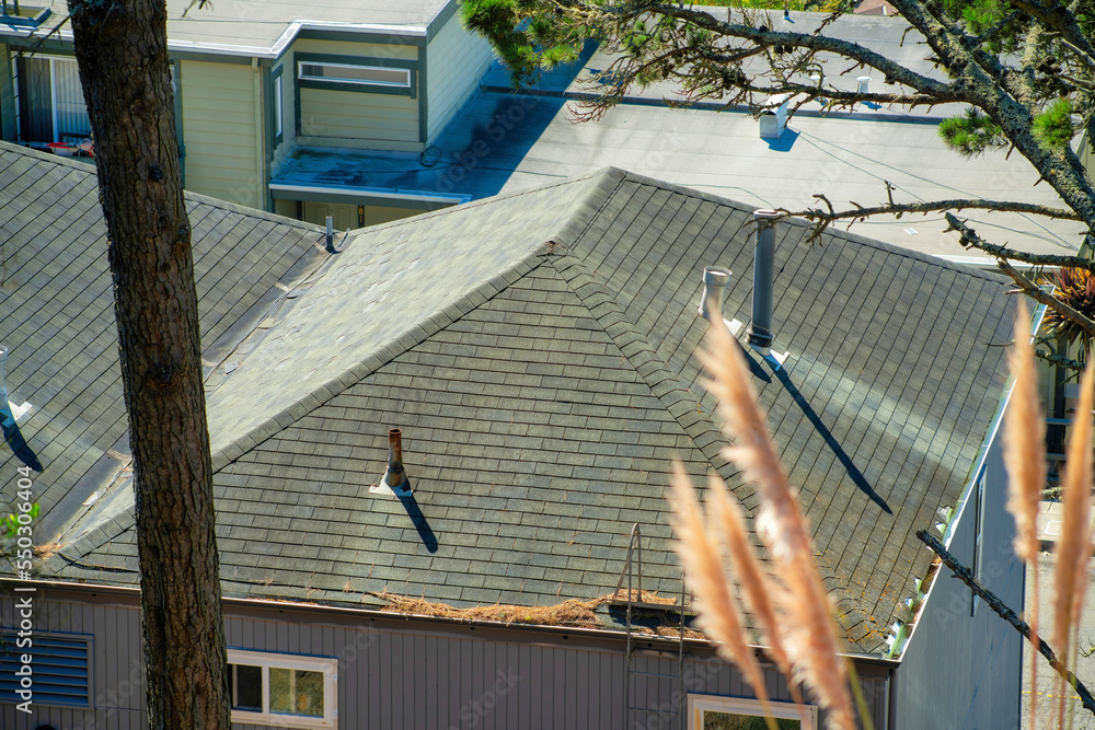 Rooftop in suburban area with surrounding trees and foliage as seen ...