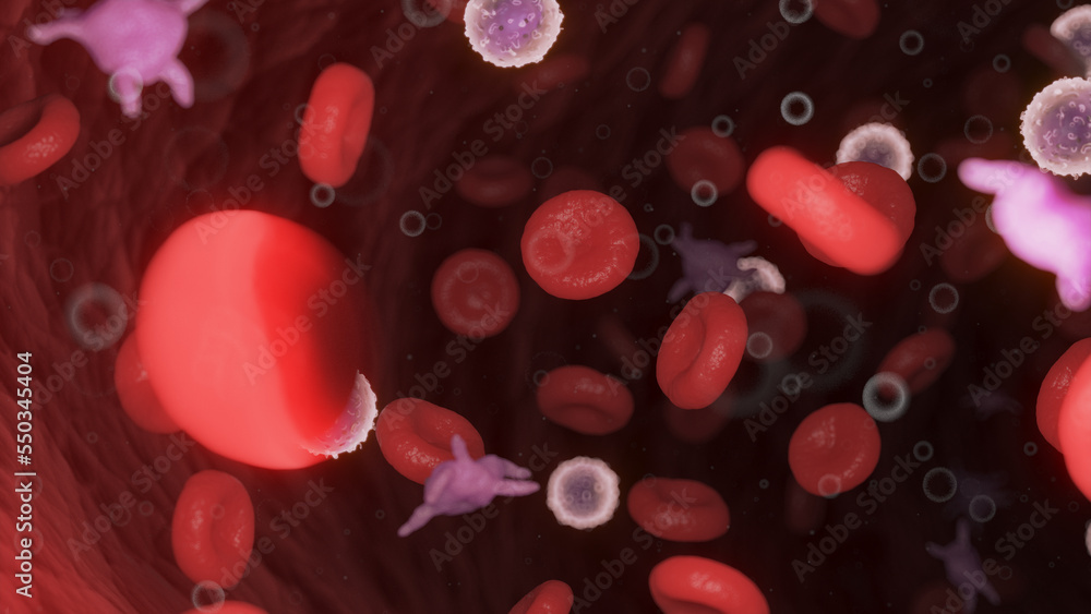 3d rendered medical illustration of circulating blood cells Stock ...
