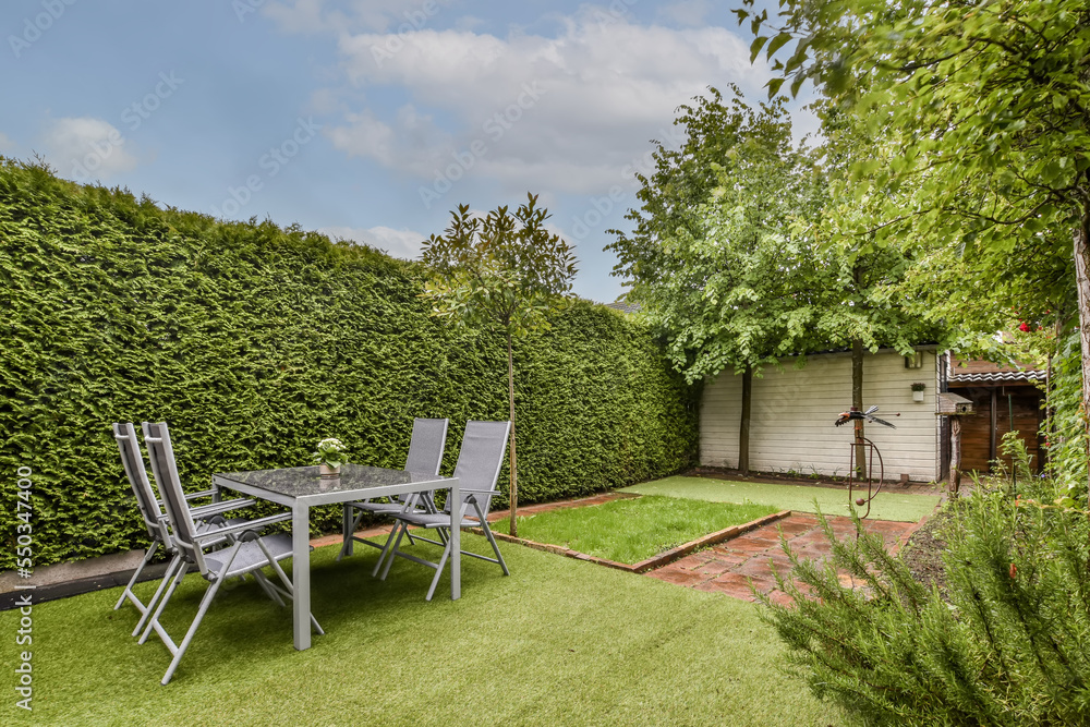 Backyard of a house with trees and green plants Stock Photo | Adobe Stock