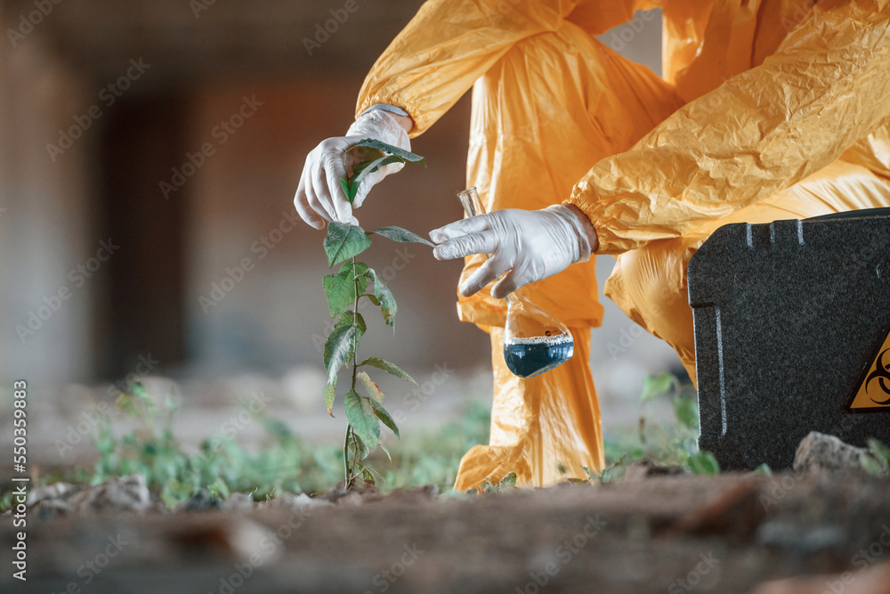 Examines the plant. Man dressed in chemical protection suit in the ...