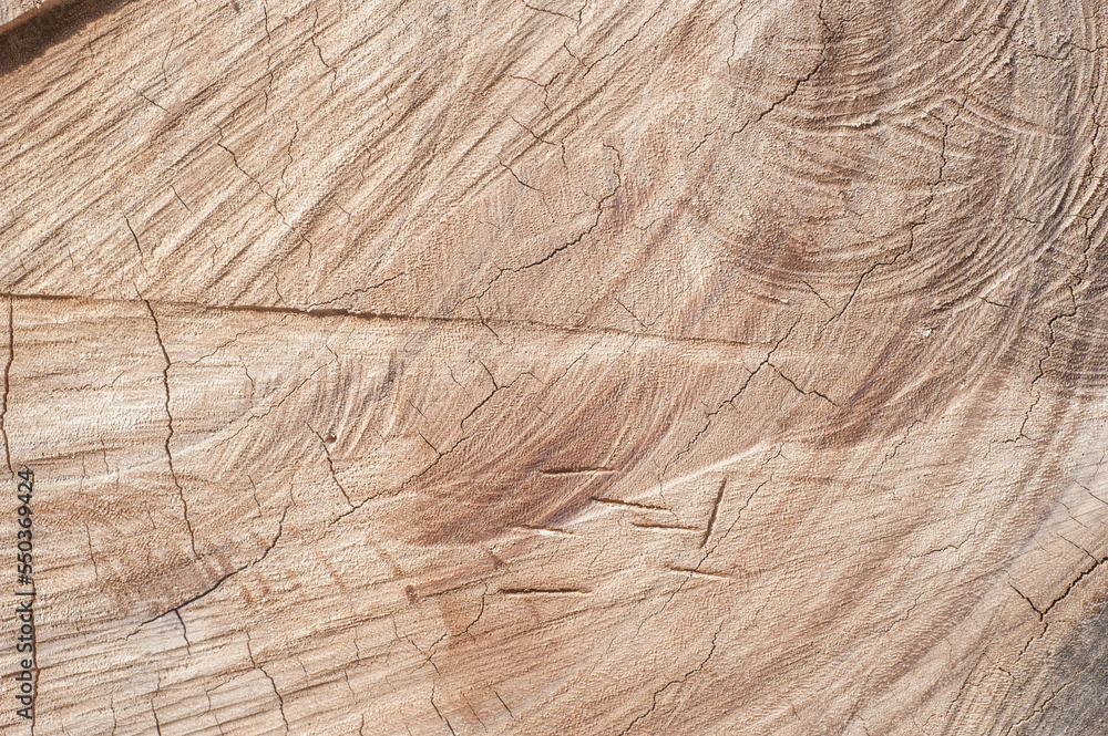 Wood texture seamless, Texture natural wooden, High resolution Stock ...