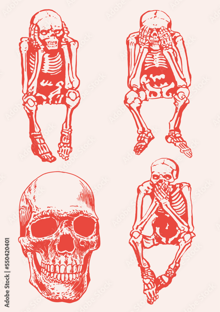 Graphical set of red skeletons and human skull,vector color ...