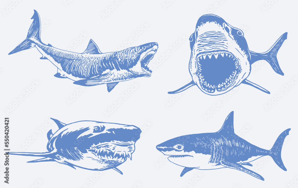 Graphical set of blue sharks on white background,vector elements ...