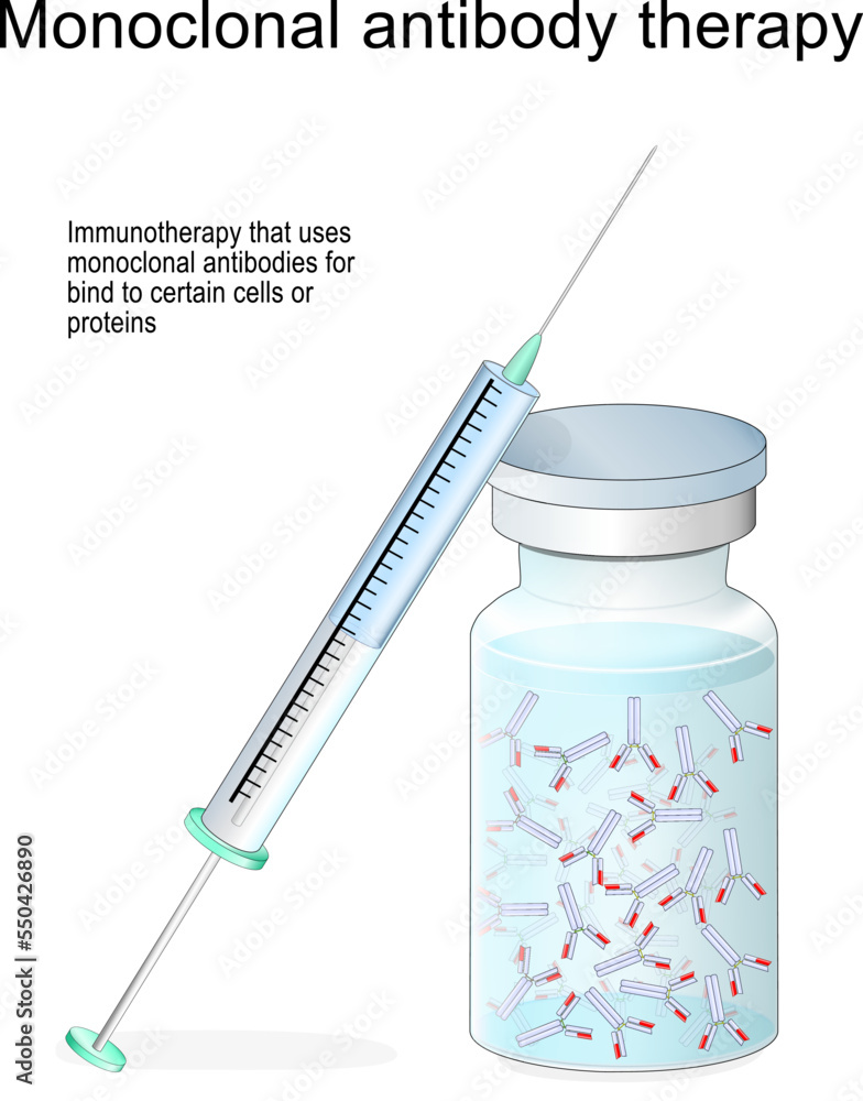 Monoclonal antibody therapy. Immunotherapy that uses antibodies Stock ...