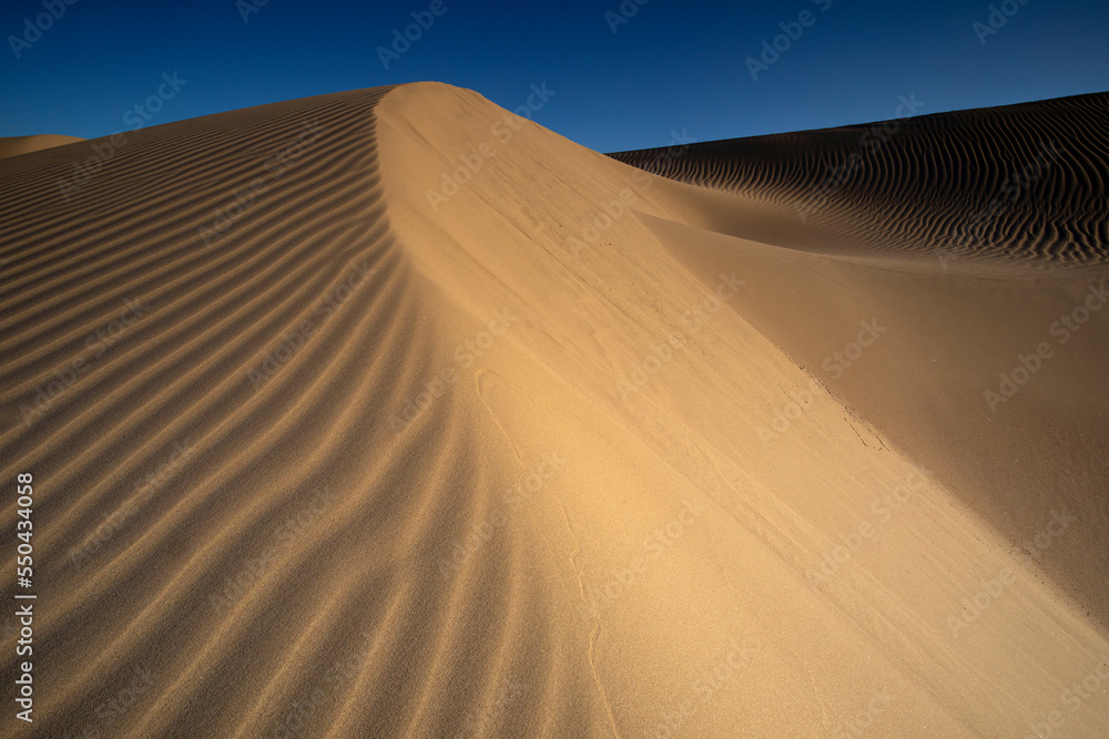Oceano Dunes Natural Preserve and Oceano Dunes State Vehicular ...
