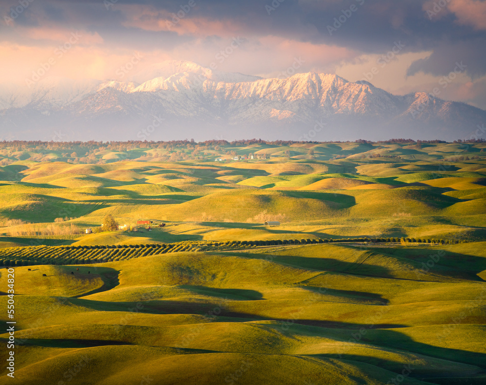 Rolling hills, California. Stock Photo | Adobe Stock