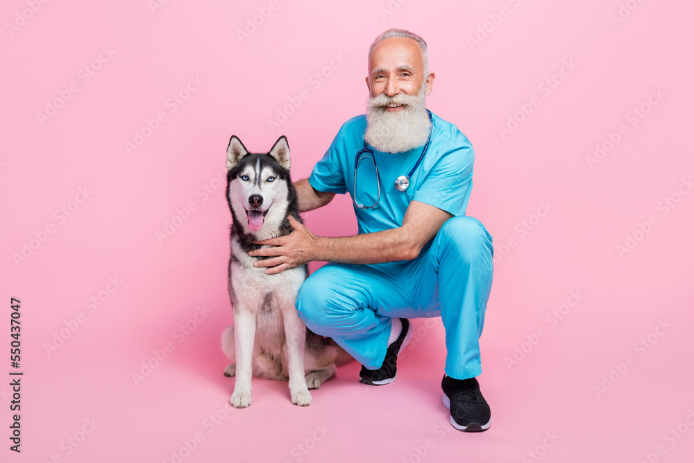 Full size photo of husky sitting near specialist veterinarian wear blue ...