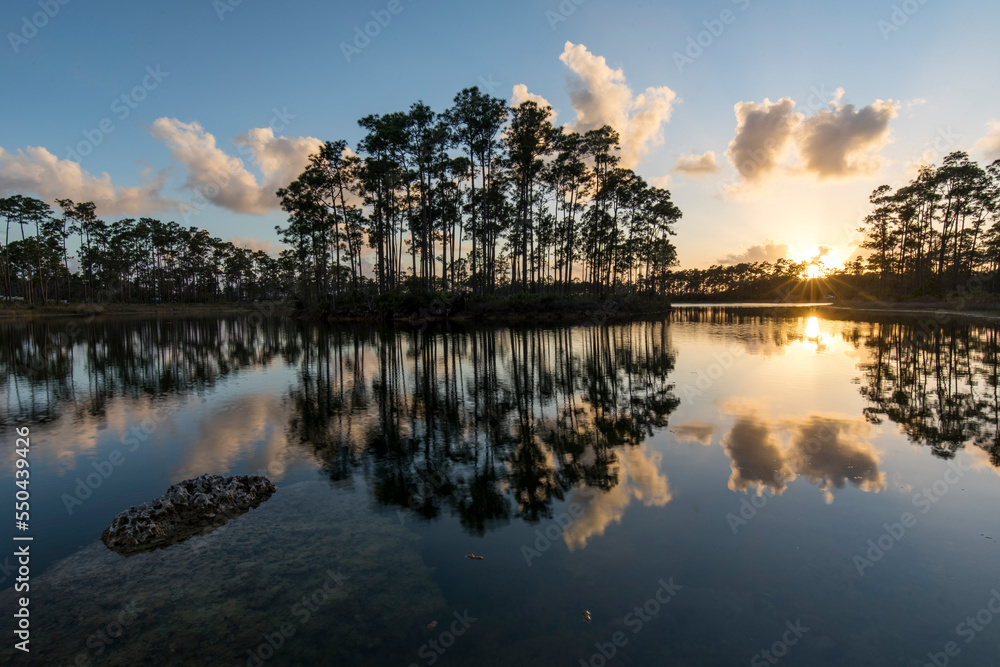 Long pine key Stock Photo | Adobe Stock