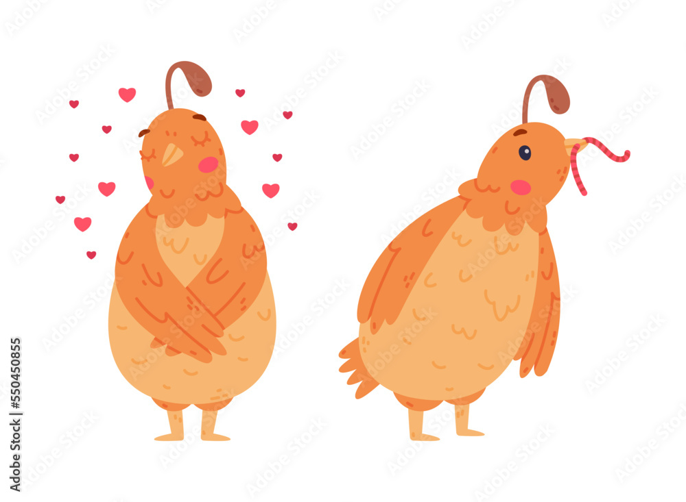 Quail Bird with Crest and Feathers Holding Worm and Feeling Love Vector ...