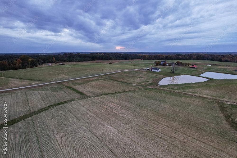 Central North Carolina Cotton Fields. Just north of Raleigh, North ...