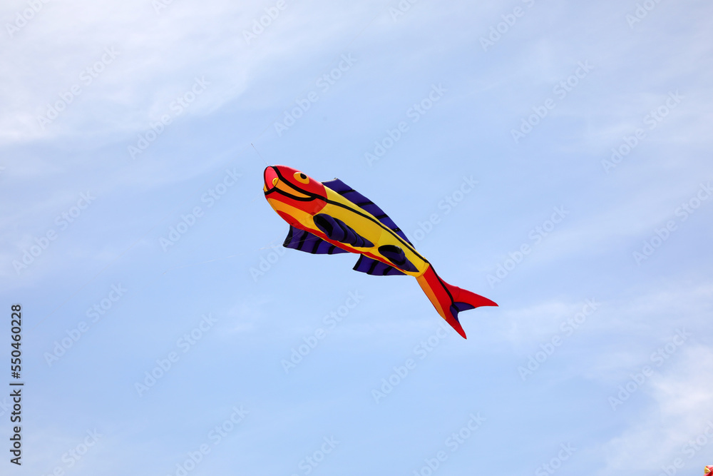 Drachen/Flugdrachen in Cadzand (Niederlande) Stock Photo | Adobe Stock