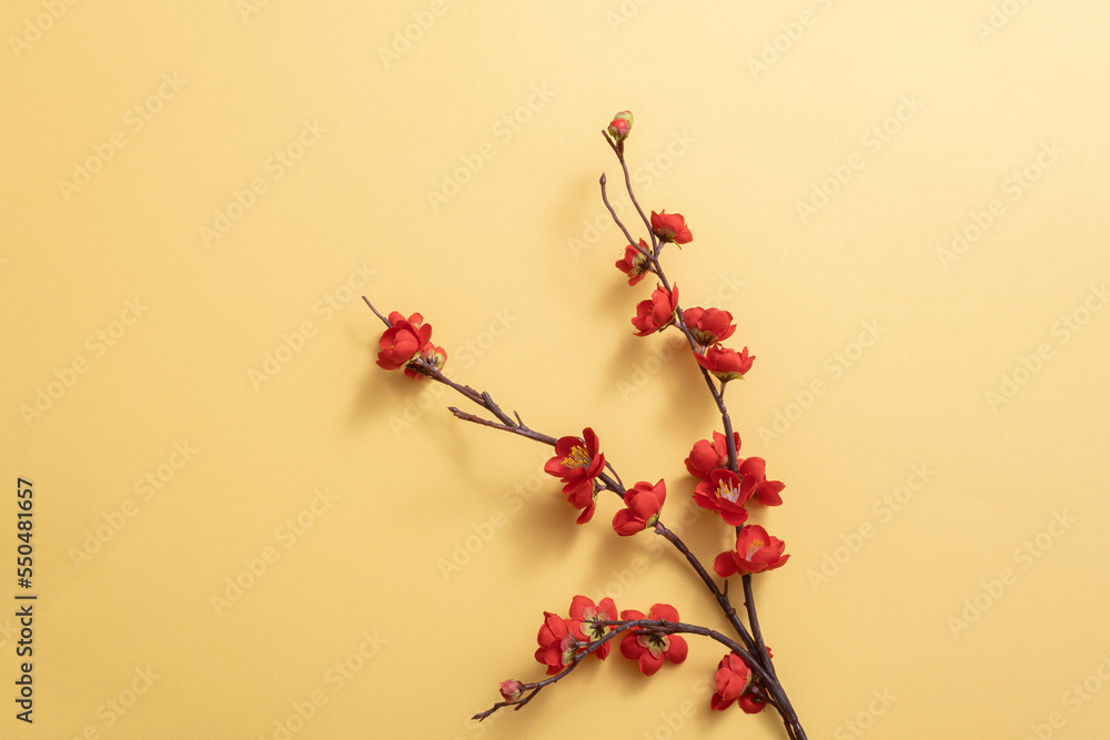 Red apricot blossom branch on yellow background. Flat lay. Chinese new ...