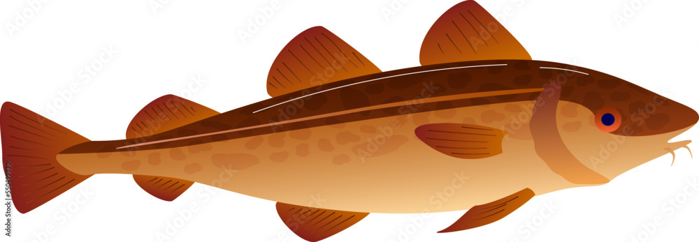 Fish ocean cod isolated on white, vector illustration. Animal in sea ...
