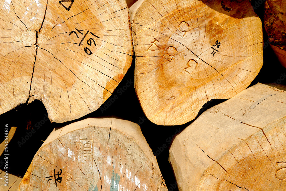 Timber wood texture background Stock Photo | Adobe Stock