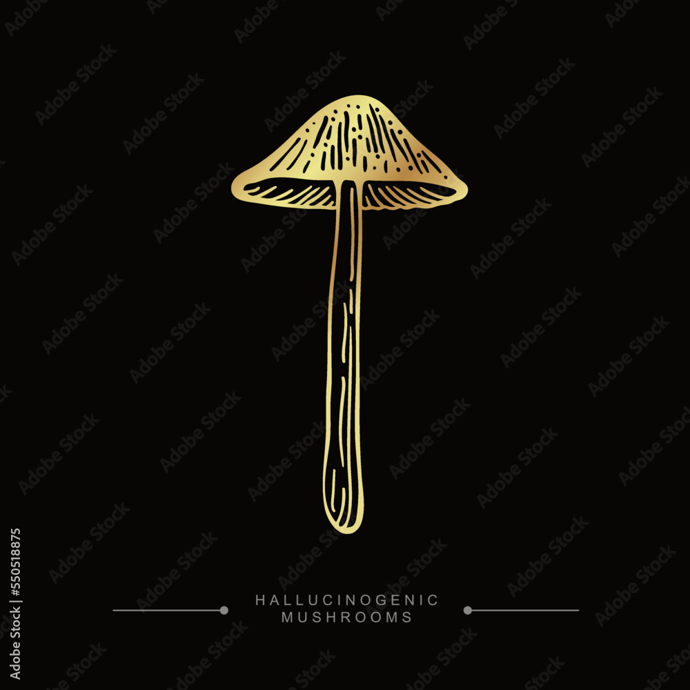 A stylized image of a psilocybin mushroom. Golden drawing of ...