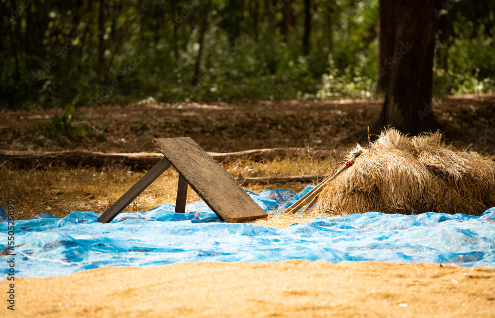 Rural life of Thai farmers More than 70% have to live on farming ...
