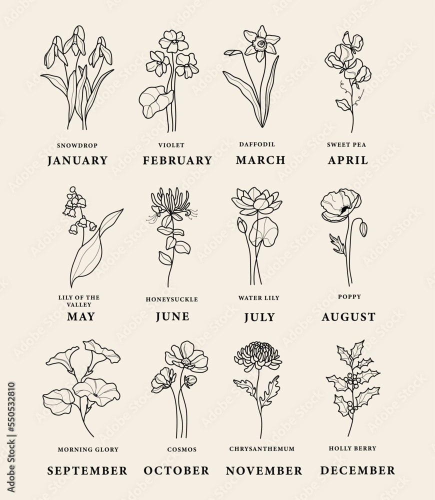 Line Art Birth Flowers Collection Stock Vector Adobe Stock