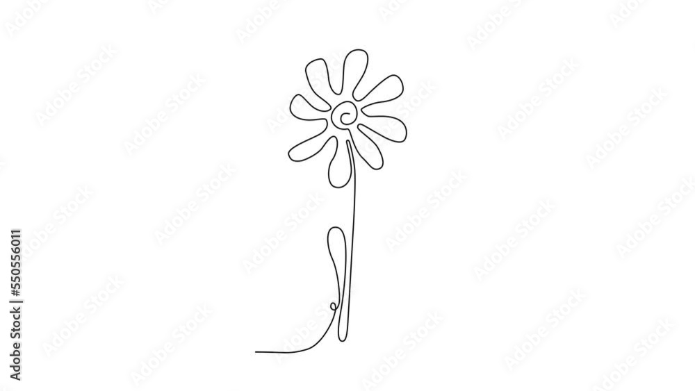 Continuous Thin Line Flower Drawing Animation, Minimalist Botanical ...