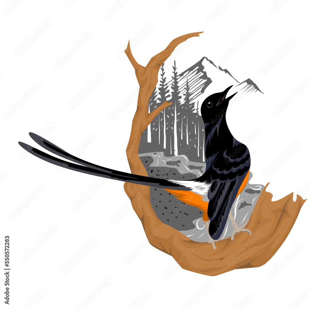 Vector illustration murai bird fine art design for artwork Stock Vector ...