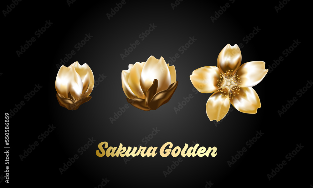 Golden sakura flowers, Japanese gold cherry blossoms Stock Illustration ...