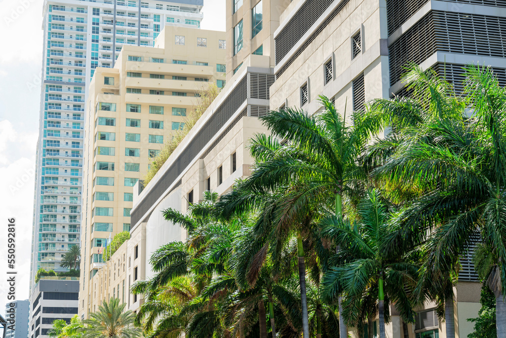 Rows of modern multi-storey buildings with palm trees at the front in ...