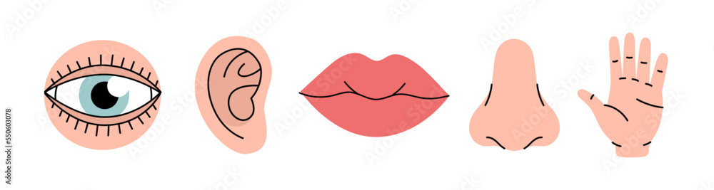 Set of five human senses. Vision, smell, hearing, touch, taste icons ...
