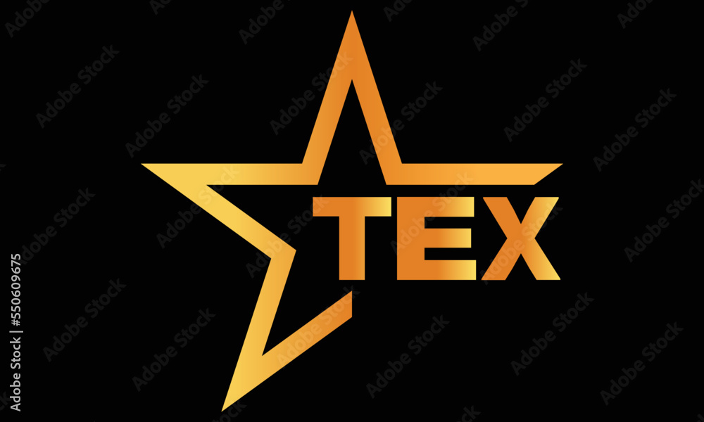 TEX golden luxury star icon three letter logo design vector template ...