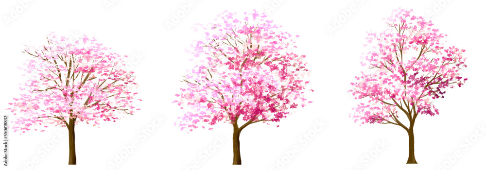 Vector watercolor blooming flower,Sakura tree or grass side view ...