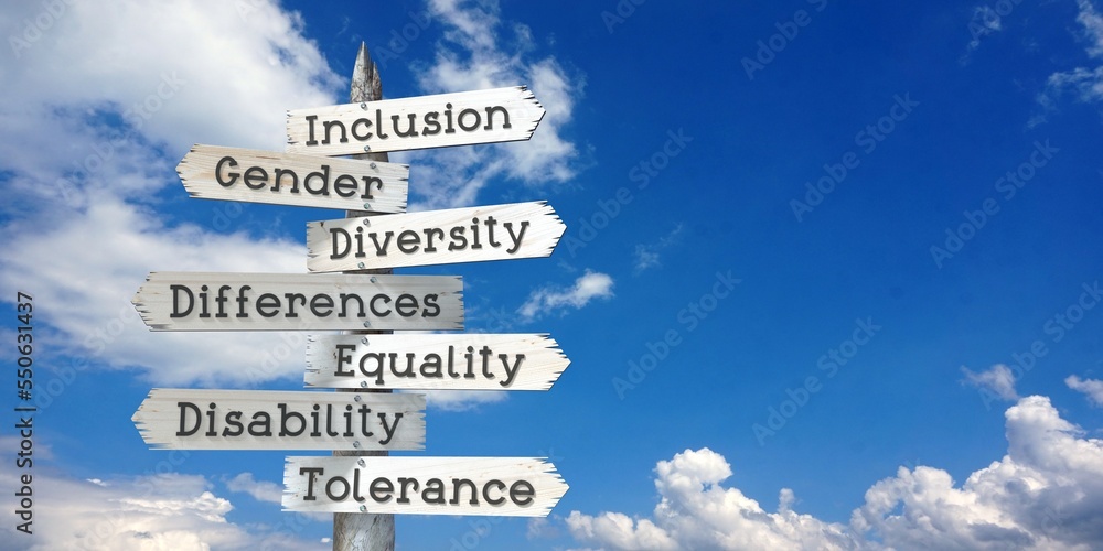 Inclusion, gender, diversity, differences, equality, disability ...