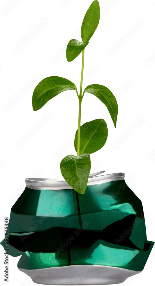Green Plant Growing From Tin Can - Isolated Stock Photo | Adobe Stock
