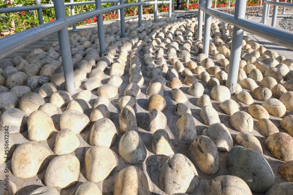 Reflexology cobblestones pathway for foot massage. Convexly rounded ...