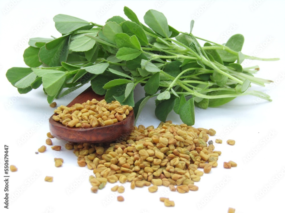Fenugreek Seeds And Leaves