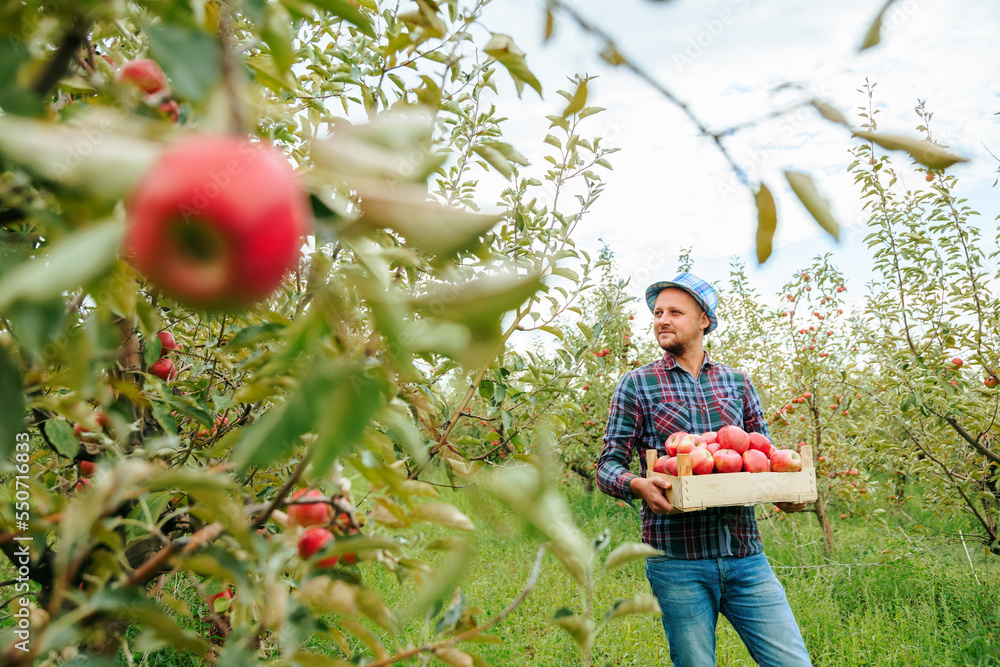 Front view young farmer orchard worker smiling looking into the ...