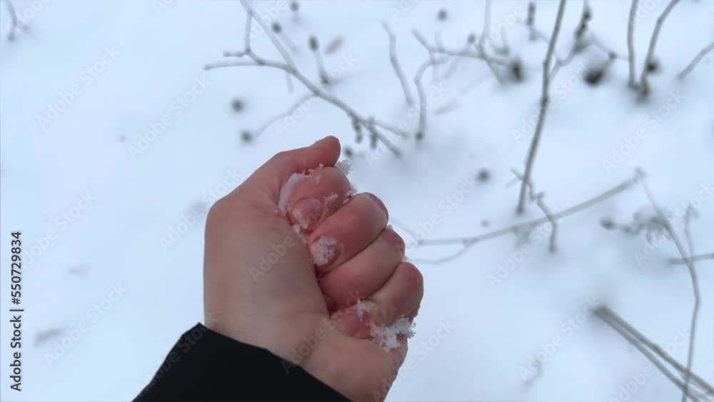 The first snow and snowdrifts. Winter in the forest. Modeling snowballs ...