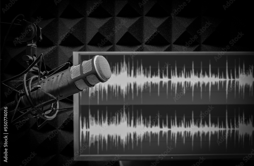 professional microphone and sound wave form on computer screen Stock ...