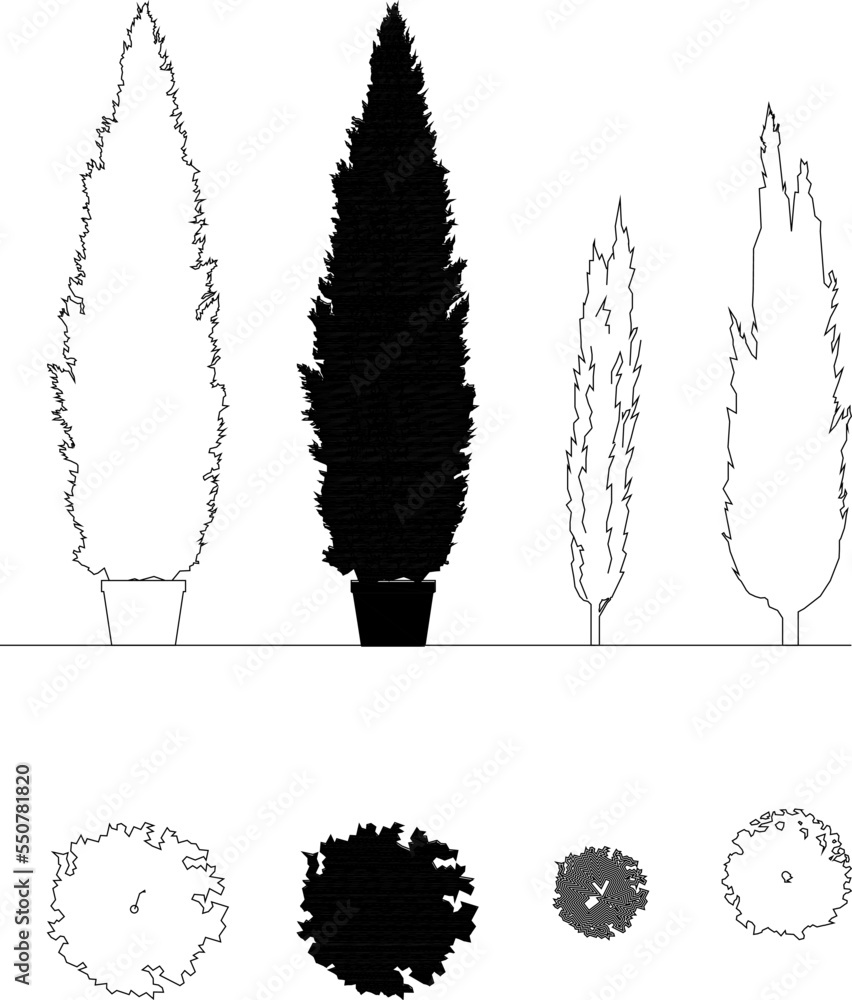 Vector sketch of trees side and top view with white background Stock ...