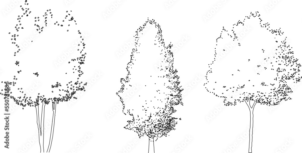Vector sketch of trees side and top view with white background Stock ...