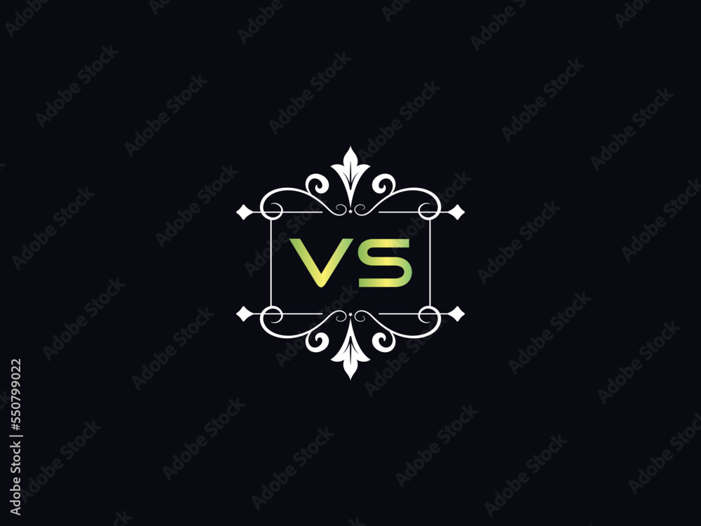 Minimalist VS Logo, vs sv Luxury Logo Letter For Your Business vector ...