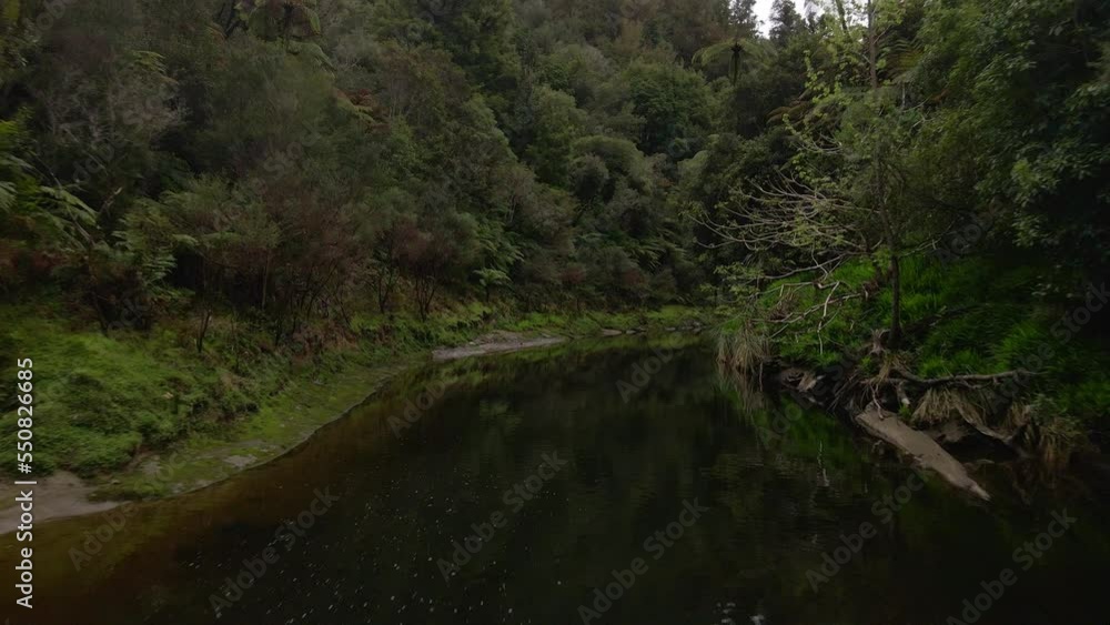 Calm river at bottom of a rainforest canyon on a cloudy day in rural ...
