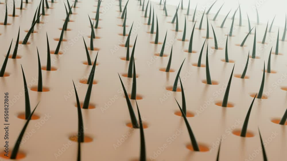 Hair care stimulates hair growth oil drops to the root. Repair damaged ...