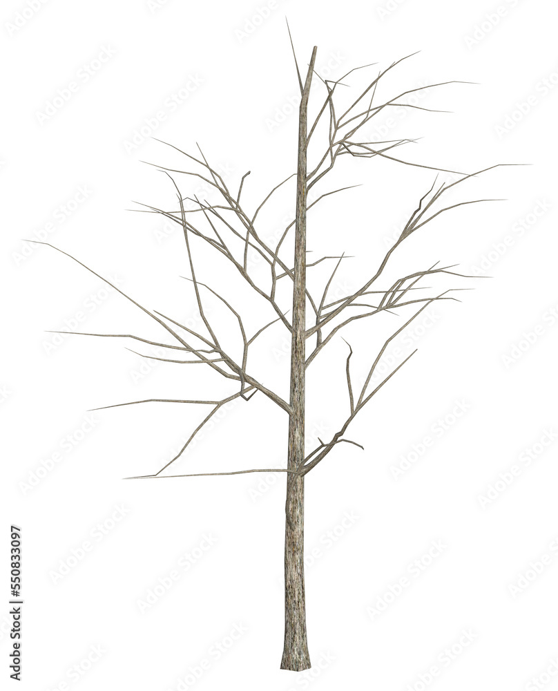 3d render : Tree trunk without leaves, PNG transparent for graphic ...