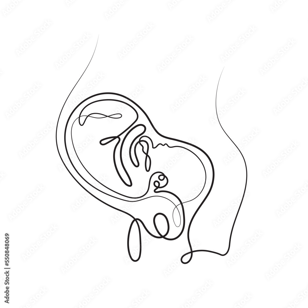 Abstract Pregnancy Art