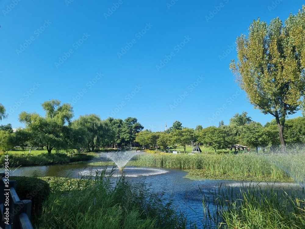 분수가 있는 연못이 있는 여름 공원. 서울, 용산, 용산가족공원 Stock 사진 | Adobe Stock