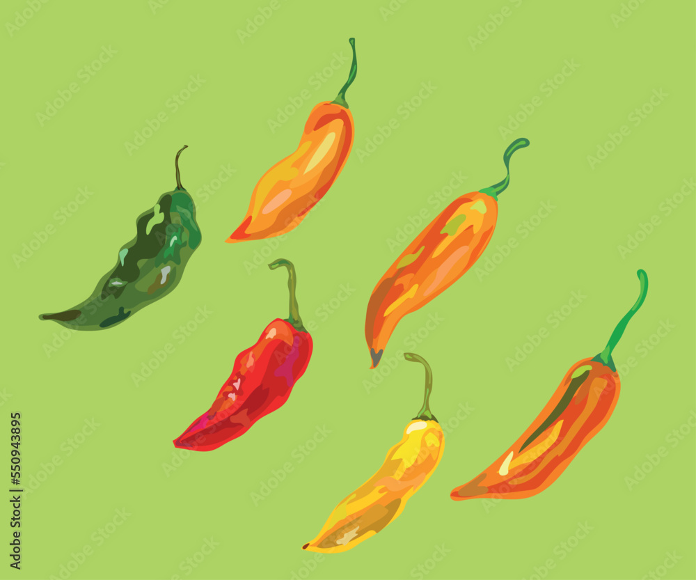 Vetor de aji limo aji amarillo peruvian pepper vector illustration do ...