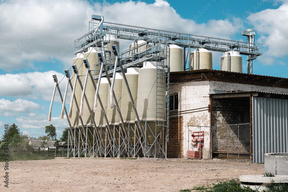 Vertical silos with fodder for cattle on a farm, production ...