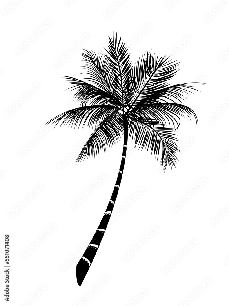 ภาพประกอบสต็อก Abstract black coconut or palm tree overlay on ...