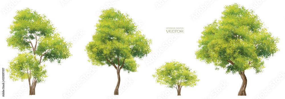 Vector watercolor of tree side view isolated on white background for ...