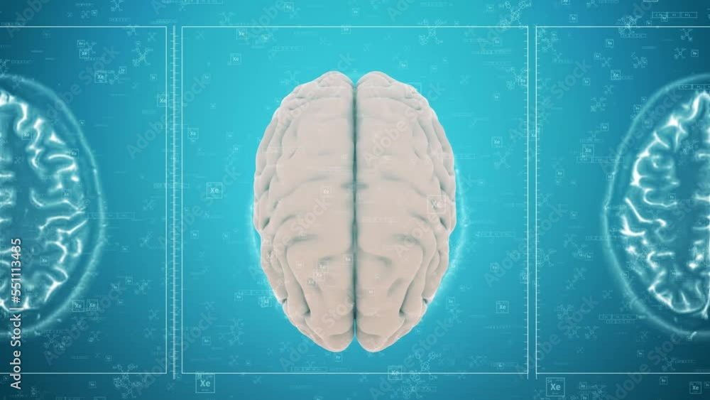 3d Animation of dopamine and serotonin release from the nervous system ...