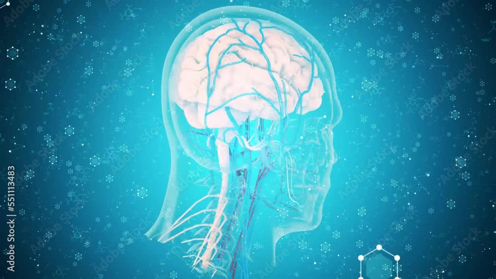 3d Animation of dopamine and serotonin release from the nervous system ...